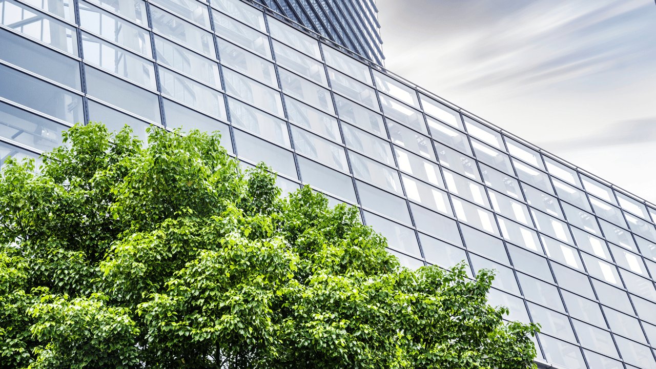 Rio Blog - What Is Scope 4? Reporting Avoided CO2 Emissions & More